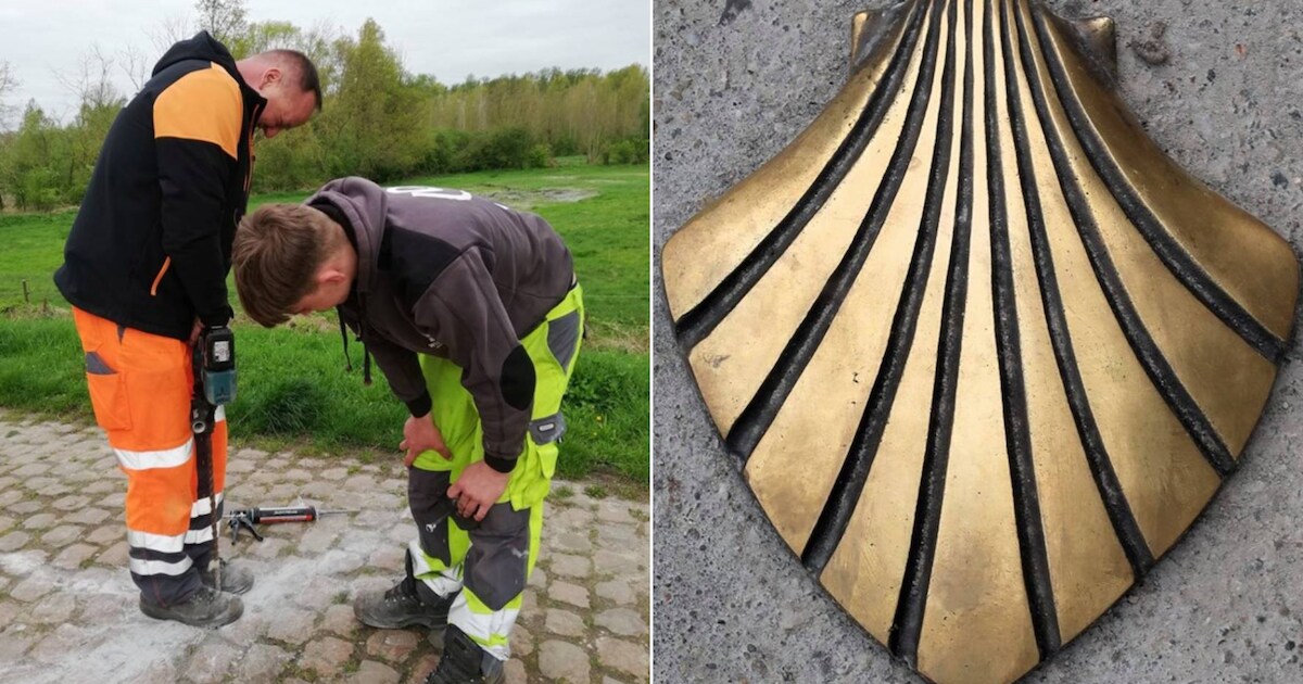Sint-Jacobsschelpen wijzen voortaan de weg naar Compostela | Zoutleeuw ...