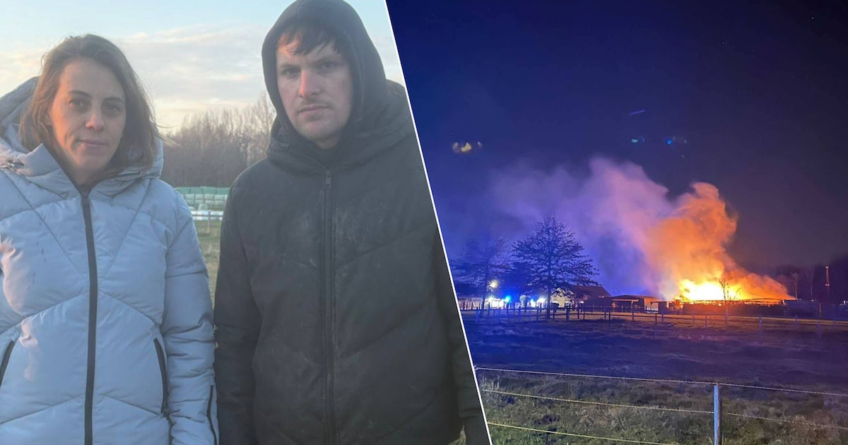 Verwoestende stalbrand in Oosterzele kost koppel hun 14 paarden op ...