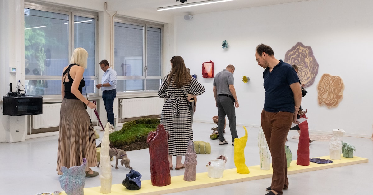 Meer dan 100 jonge kunstenaars van Sint-Lucas stellen werk tentoon ...