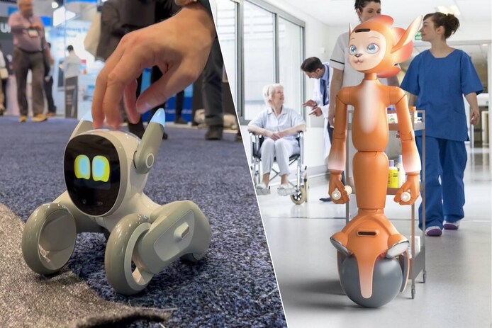 Eindelijk het jaar van de robot? Op techbeurs struikelen we er bijna ...