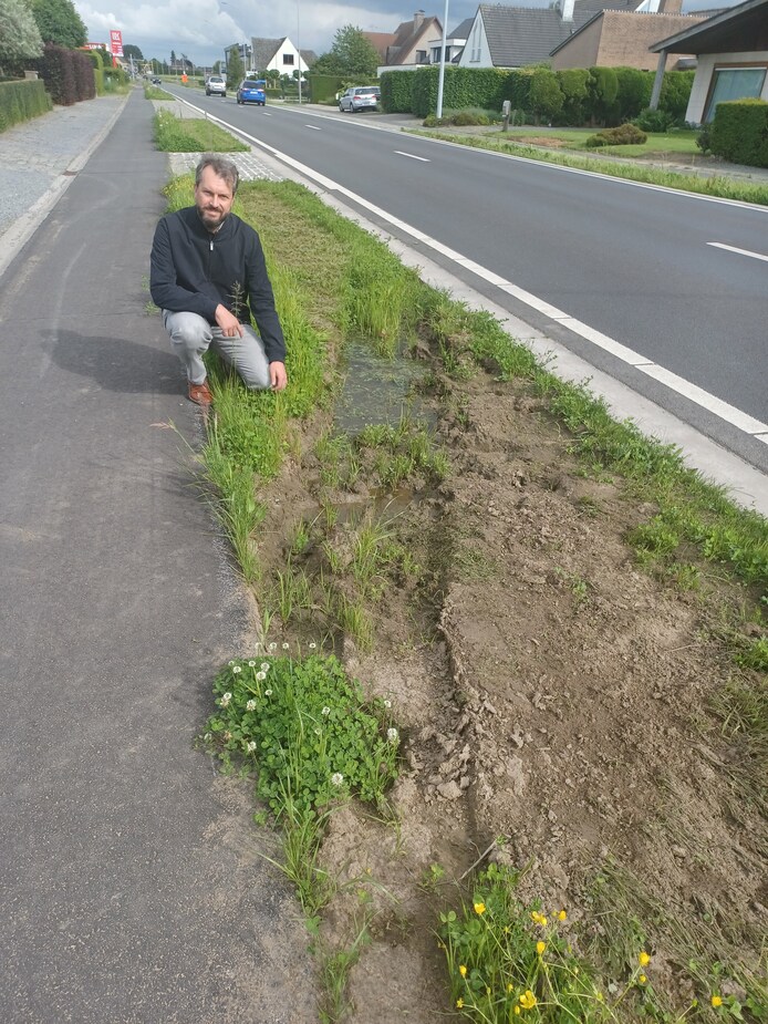 “Stad moet Vlaams Gewest aanporren om zachte bermen aan te pakken ...