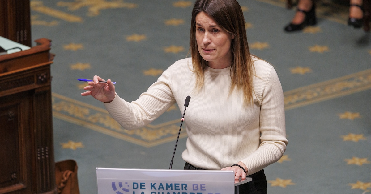 Maaike De Vreese (40) grijpt naast ministerpost: “Ik heb even gevloekt ...