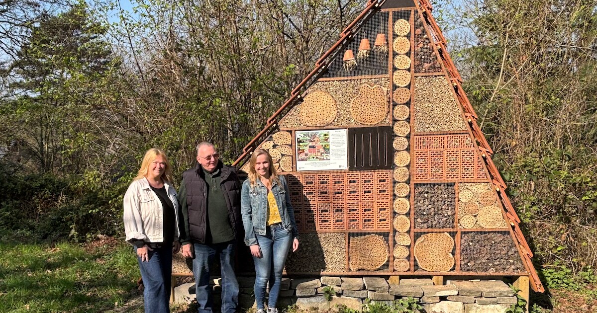 Fred (69) bouwt uniek insectenhotel voor Huis van Herman Teirlinck ...