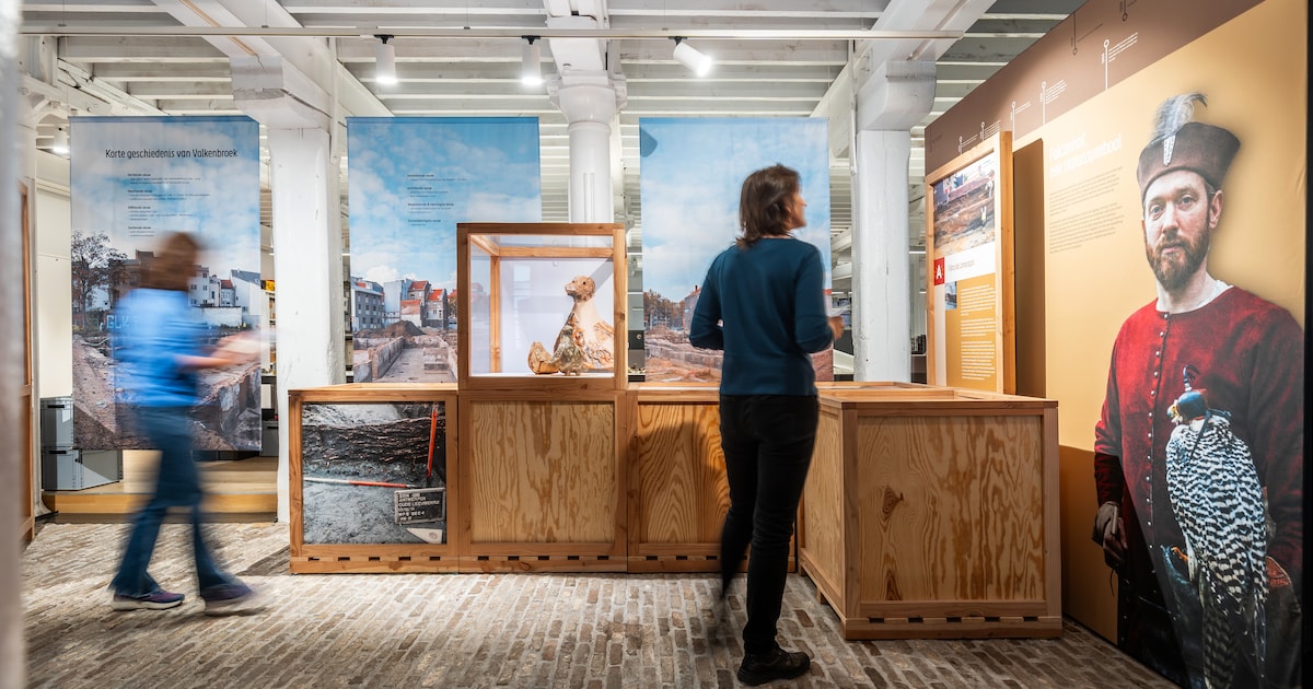 Archeologische expo ‘Zeven eeuwen FALCON’ tijdens archeologiedagen ...