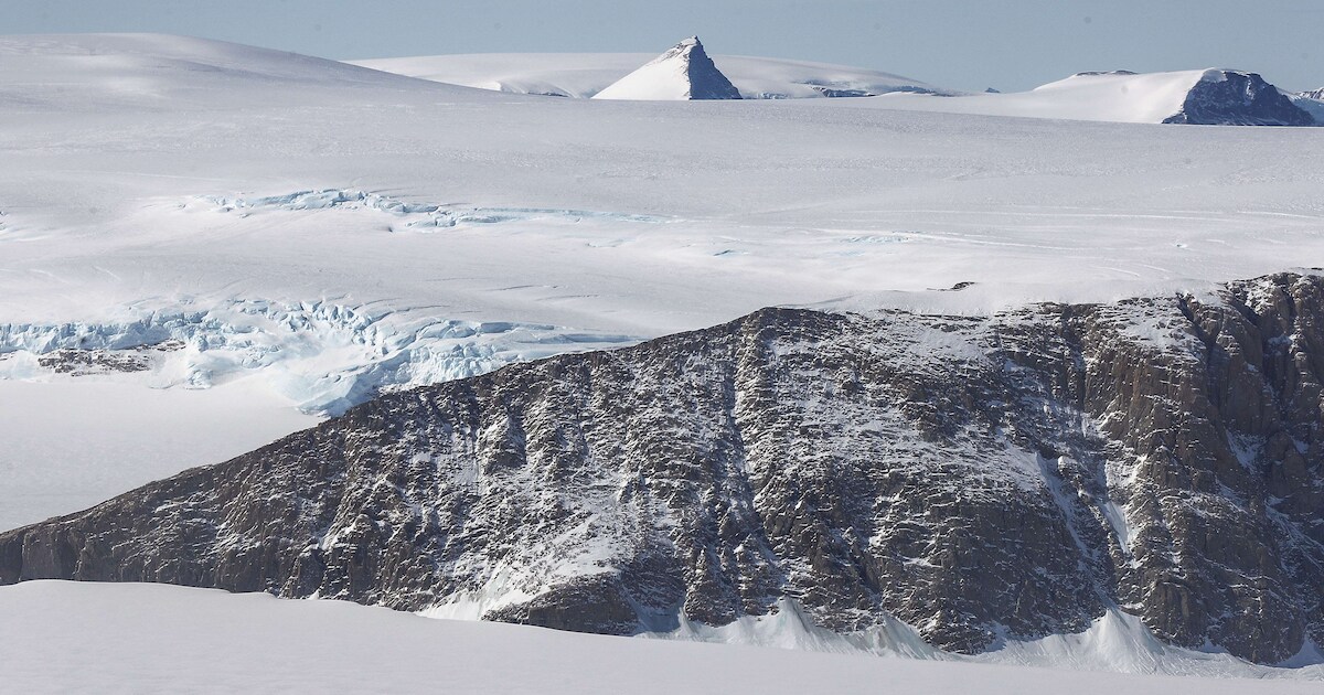 Wetenschappers vinden bos van 260 miljoen jaar oud op Zuidpool | Weer ...