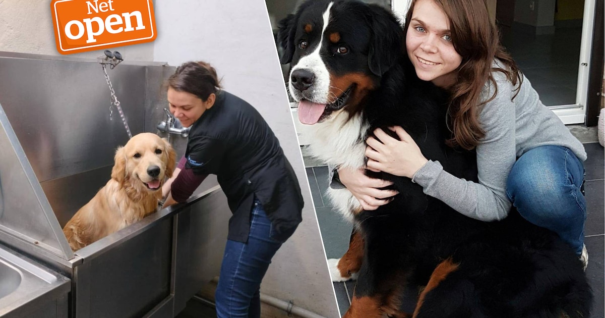 NET OPEN. Boekhoudster Haike (30) start eigen trimsalon Tommy: “Laat ...