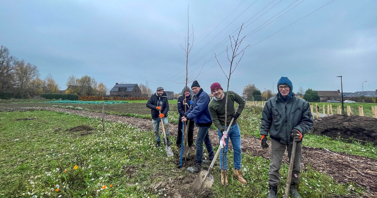Plantdag bij Meerdoeners in Ruien: geëngageerde burgers en landbouwers ...