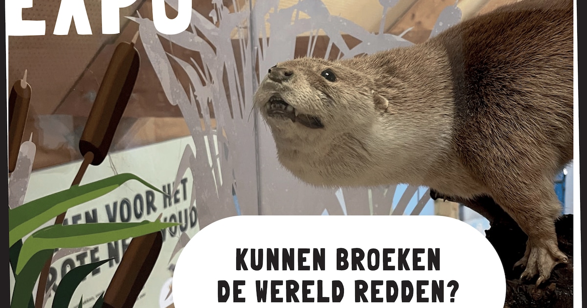 Nieuwe tentoonstelling 'Kunnen broeken de wereld redden?’ in ...