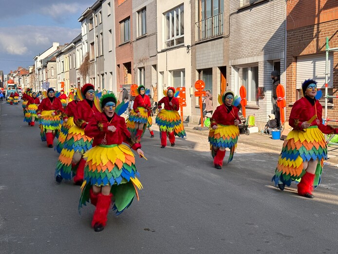 IN BEELD. Karnaval —met een ‘k’— trekt door straten van Ledeberg | Gent ...