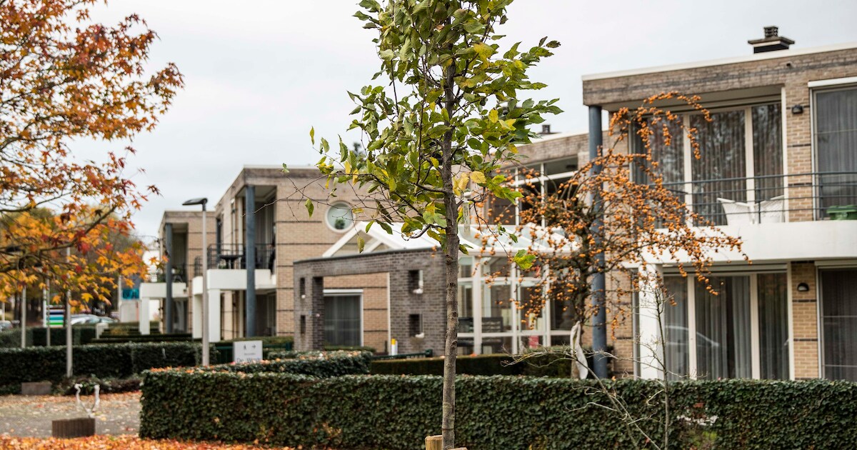 Bilzerse zorginstellingen zetten deuren open op Dag van de Zorg ...