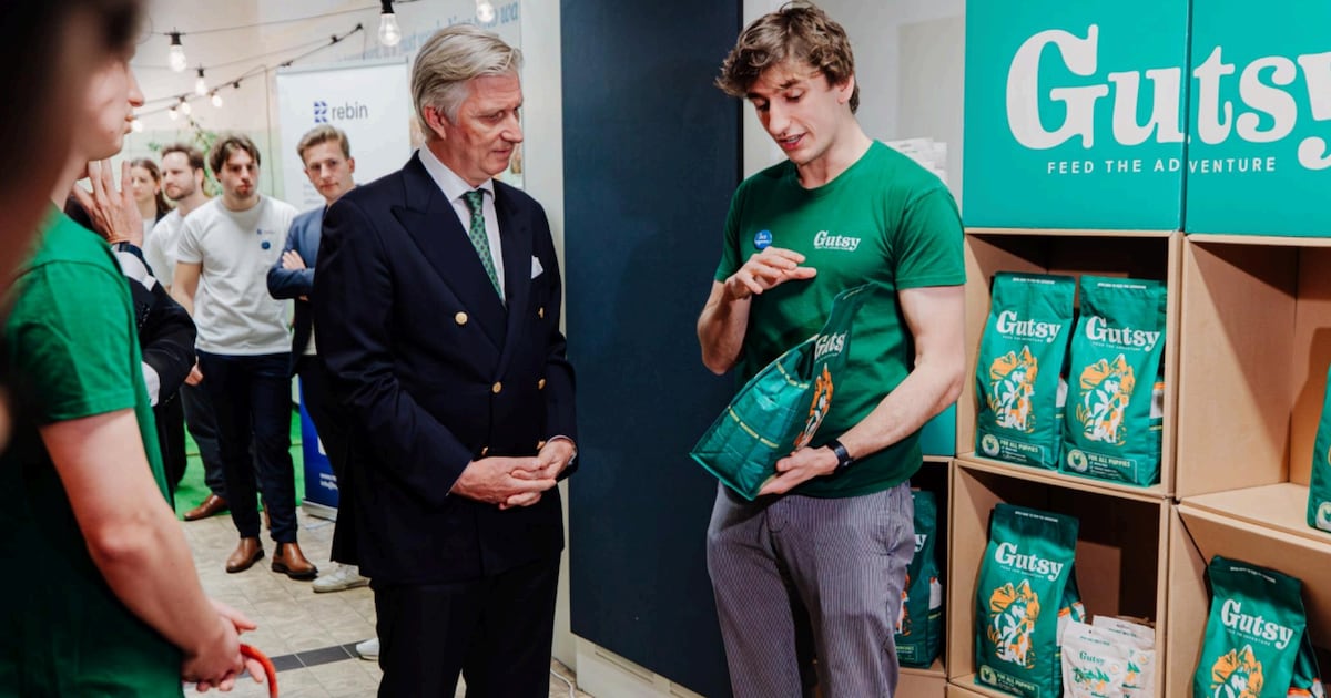 Ze startten als schoolproject, nu haalt Gutsy 1,1 miljoen euro op om ...