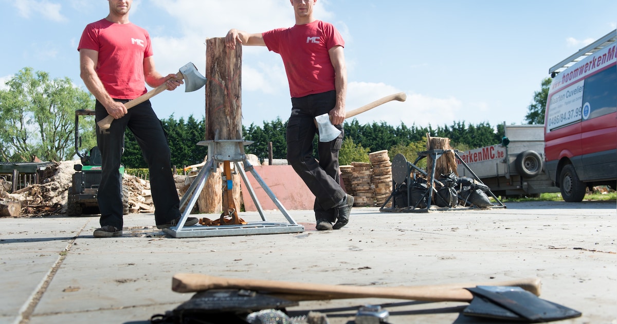 Broers Cuvelier naar WK hout hakken | Regio | HLN.be