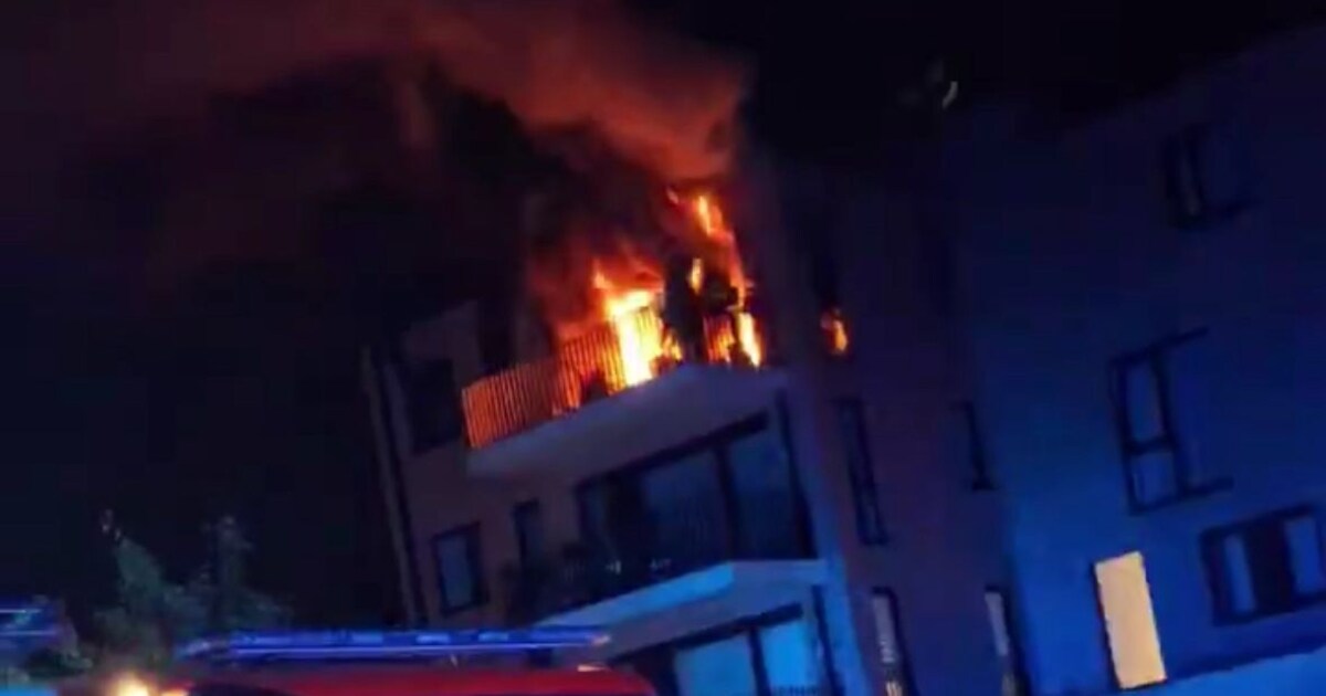 Beelden tonen hoe papa dochter (4) tegen vlammen beschermt in Eeklo ...