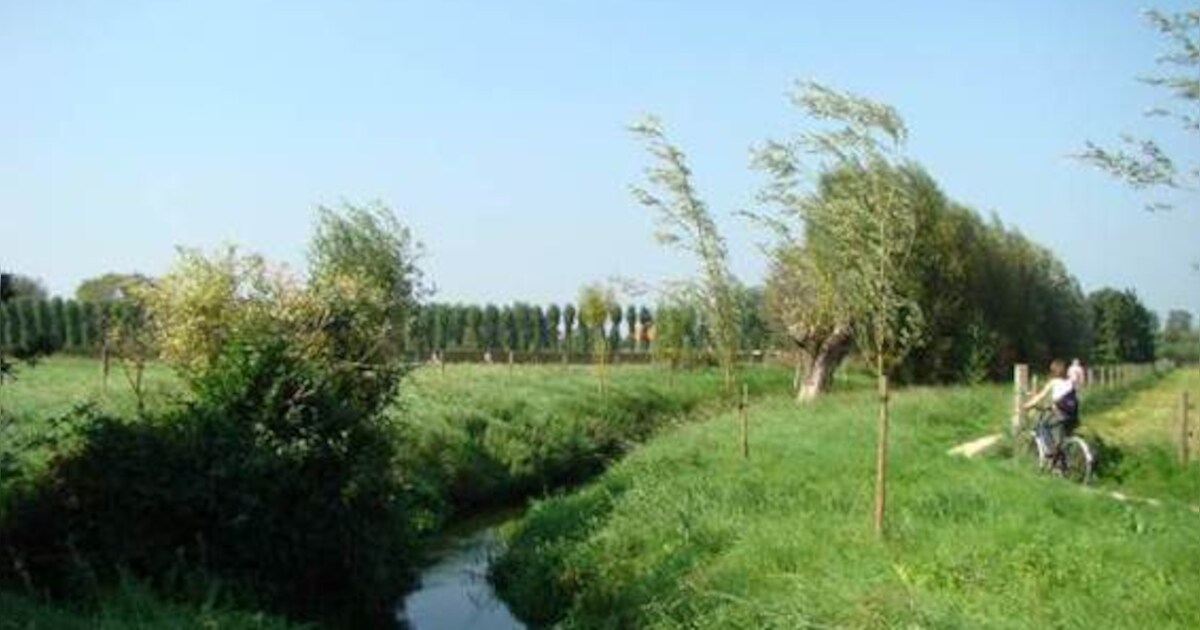 Groengebied bij centrum wordt uitgebreid | Borsbeek | HLN.be