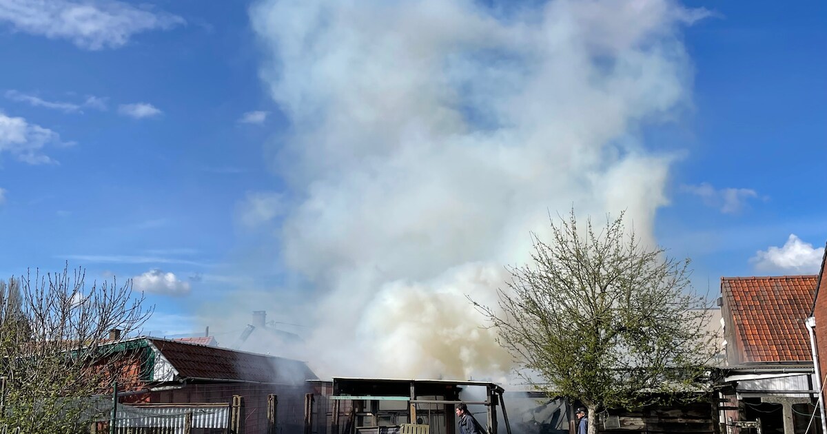 Tuinhokken van broers-schrijnwerkers gaan in vlammen op in Ardooie ...