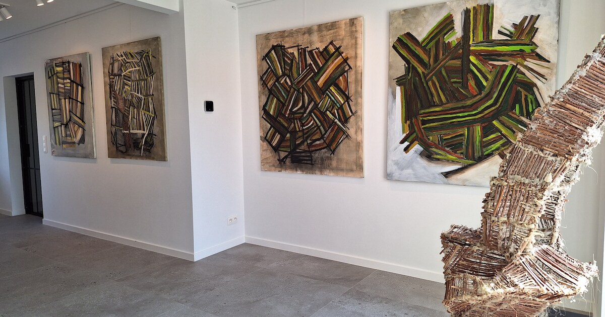 Michaël Smets toont werken in Kunsthuis DORP 16 | De Pinte | HLN.be