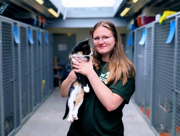 Voedselvoorraad van dierenasiel Sint-Hubertus in Aalst bijna op ...