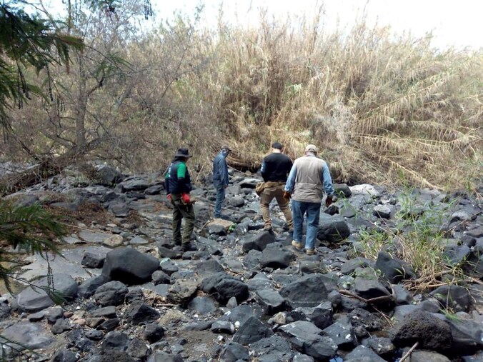 Vijftien lichamen gevonden in clandestiene graven in Mexico | Nieuws ...