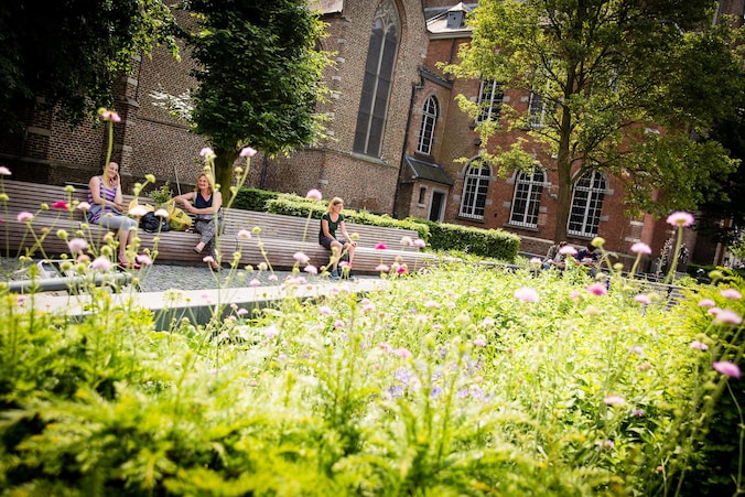 Turnhout ondersteunt lokale klimaatprojecten met nieuw ...
