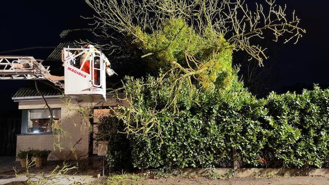 Boom komt deels op woning terecht in Sint-Michiels | Regio | HLN.be