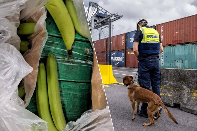 Bijna 6 ton cocaïne in beslag genomen in Antwerpse haven: grootste ...