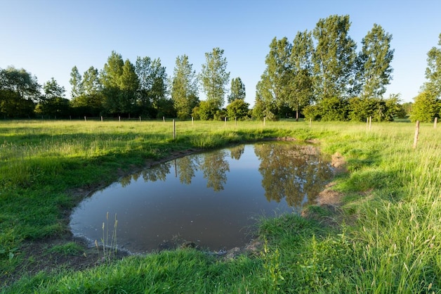 Wat te doen in Limburg dit weekend: van wandeling met bijzondere ...