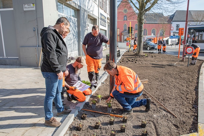 “Welke plekken in Asse verdienen meer groen?” Gemeente laat inwoners ...