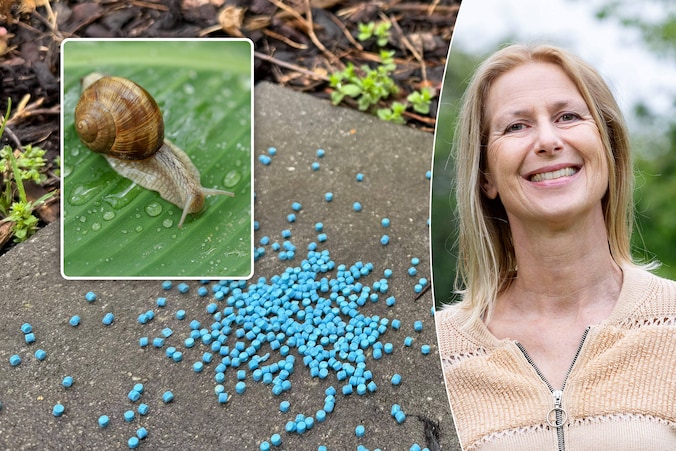 Experte geeft tips om de diertjes uit je tuin te verbannen: “Hier ...