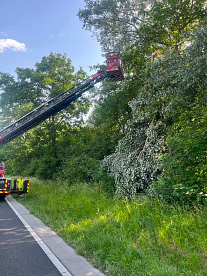 Brandweer Lede rukt uit voor geknakte boom op Steenweg op Dendermonde ...