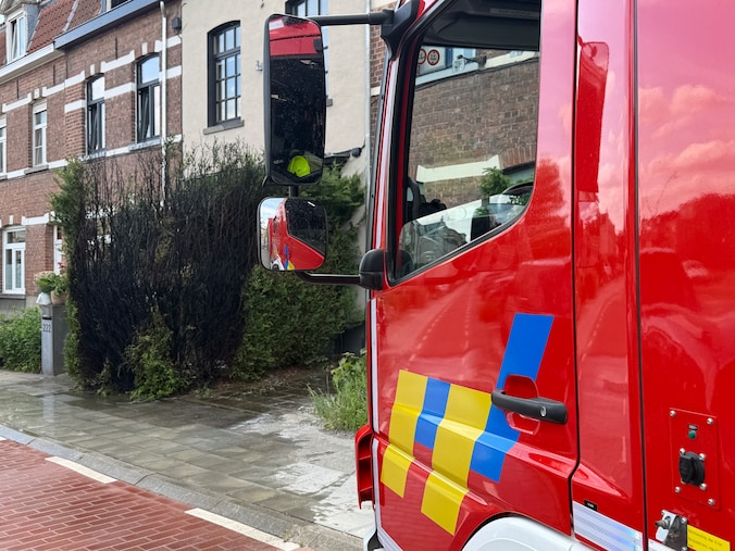 Onkruid verwijderen loopt fout af in voortuin in Assebroek: sparren ...