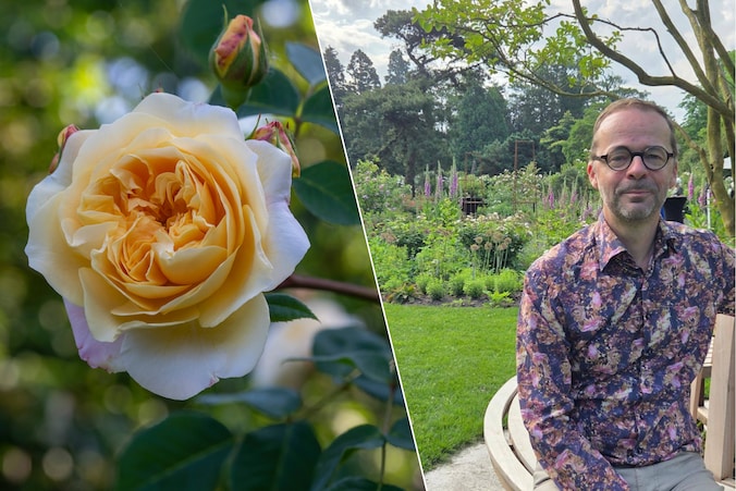 Arboretum Kalmthout viert dubbel jubileum met vernieuwde en grotere ...