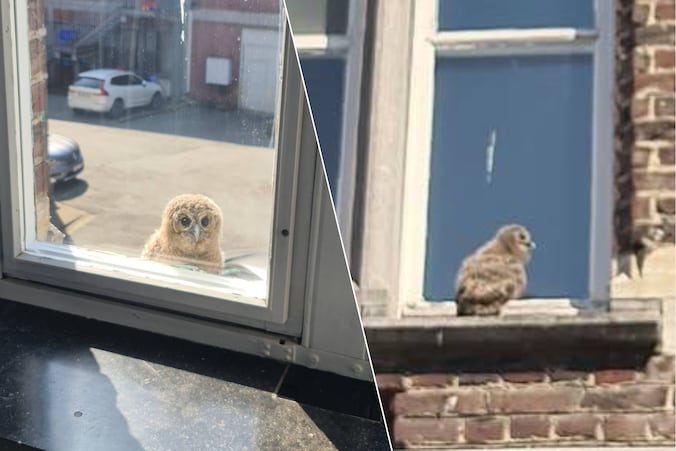 Bijzondere gast op bezoek tijdens muziekles in de Kunstacademie van ...