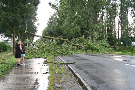 Nieuwe onweerscellen trekken van Oost-Vlaanderen richting Antwerpen ...