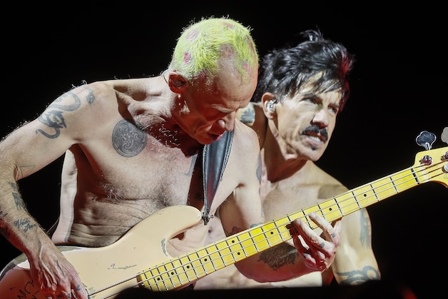 Red Hot Chili Peppers-bassist Flea komt naar Jazz Middelheim | Regio ...