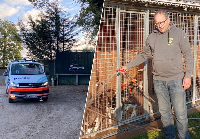 Politie valt binnen bij kennels van ‘broodfokker’ Felicanis: “We zorgen ...