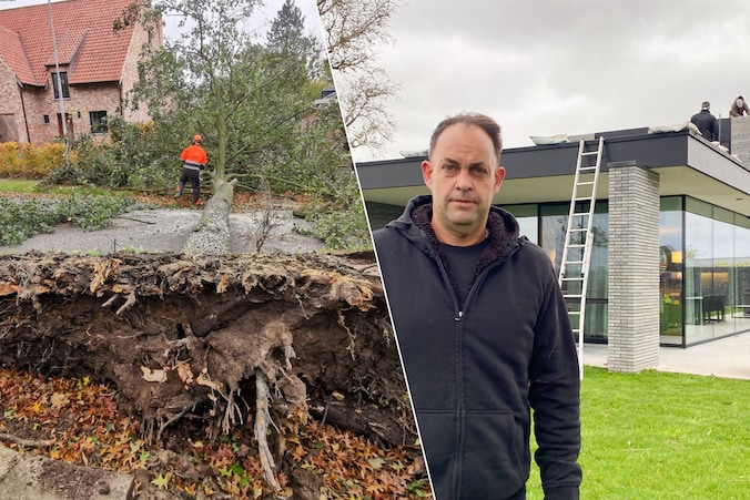 OVERZICHT. Storm Ciarán laat spoor van vernieling achter in Vlaanderen ...