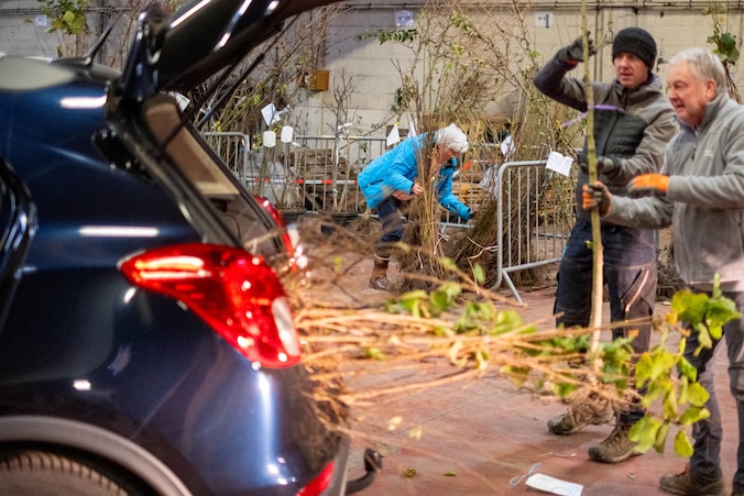 Dilbeek organiseert nieuwe editie van ‘Boom zoekt grond’ | Regio | HLN.be