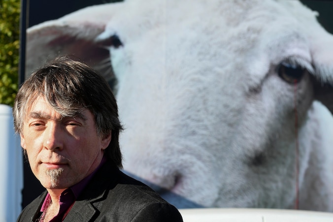 Gaia verliest rechtszaak tijdelijke slachtvloeren, maar waarschuwt FAVV ...