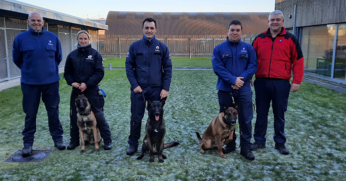 De hondenbrigade van de Oostendse politie heeft er weer drie leden bij | Oostende | HLN.be