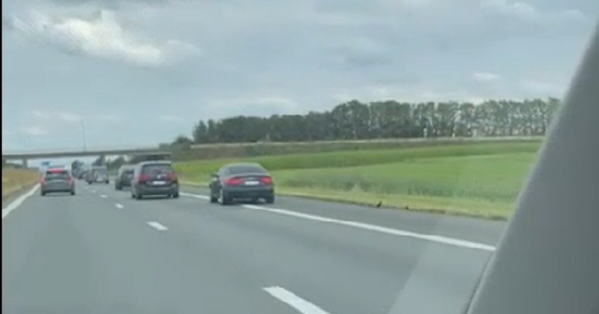 KIJK. Wegpiraat haalt rechts in langs de pechstrook op E40 in Jabbeke ...