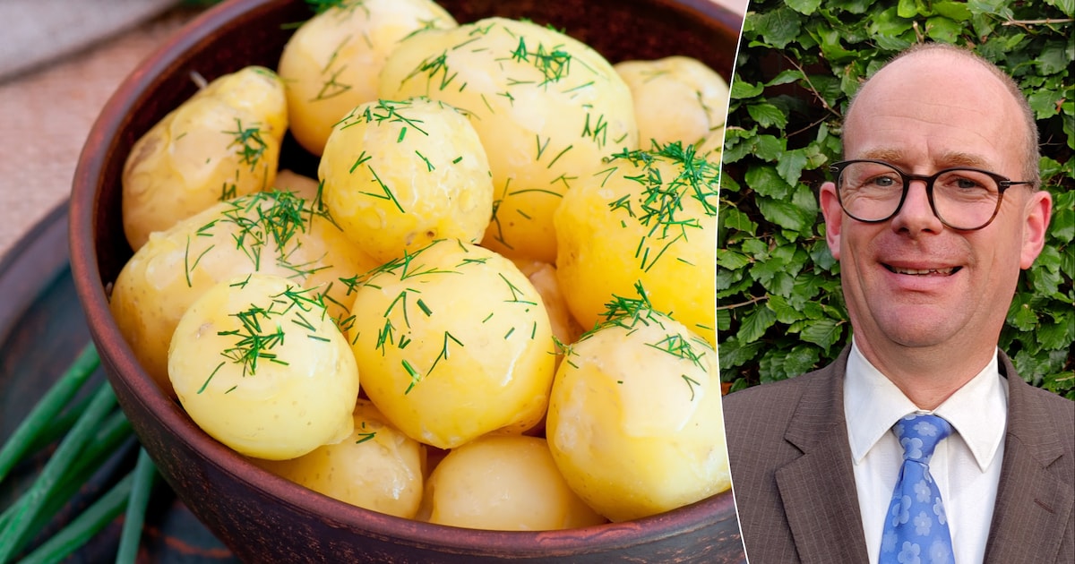 ‘Verse groenten zijn altijd gezonder dan diepvries’ en ‘aardappelen ...