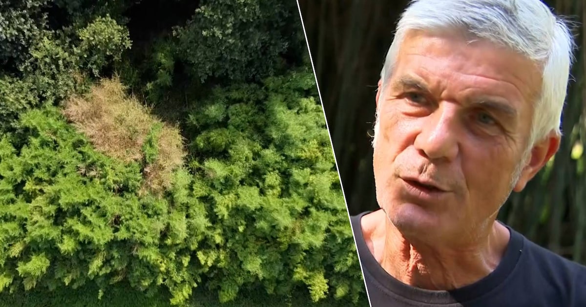 “Met een klein zaagje kan je hier niets komen doen”: Natuurpunt laat ...