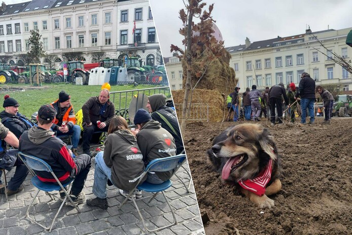 IN BEELD. Op het Luxemburgplein verliep het boerenprotest wél vreedzaam ...