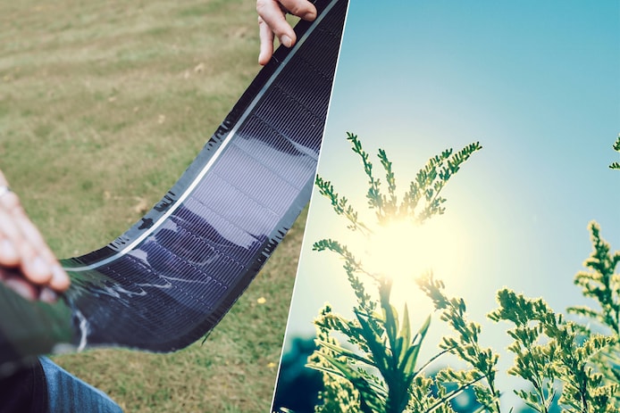 Limburgse zonne-energie in de kijker tijdens prinselijke missie naar ...