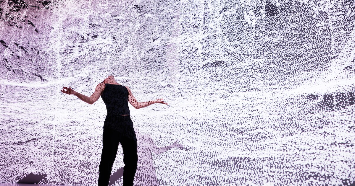 Colas Fiszman geeft workshop digitale, interactieve kunst aan ...