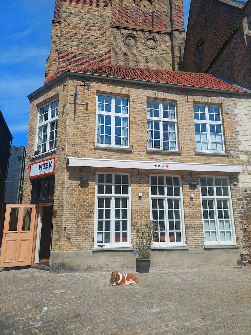 Het Veurne van Norah Driesen (28) van restaurant Noek: “In déze zaak worden de pannenkoeken aan ...