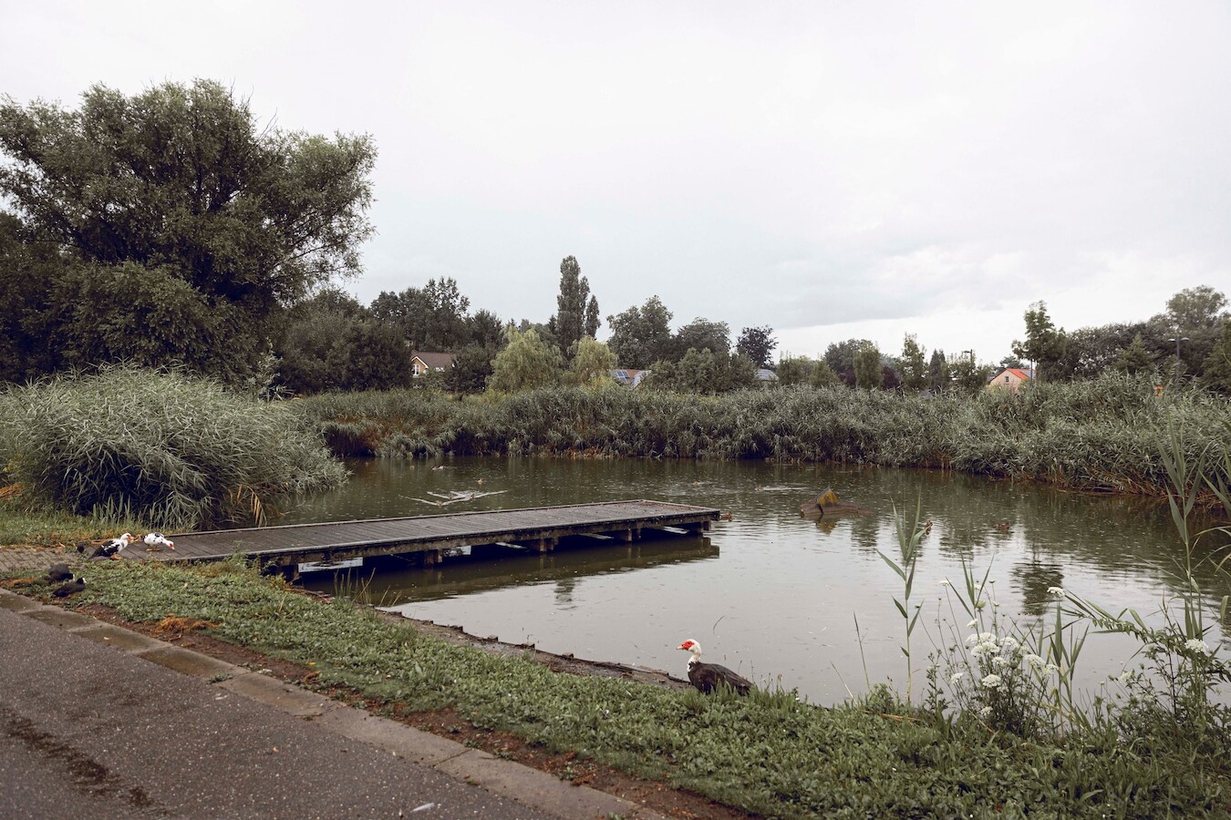Ooit had Tongeren zijn eigen pretpark... Het sloot na twee maanden ...
