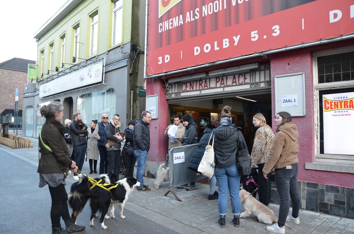 Ninoofse bioscoop omgetoverd tot 'hondencinema’: “Hondenbaasjes komen zelfs vanuit Blankenberge ...