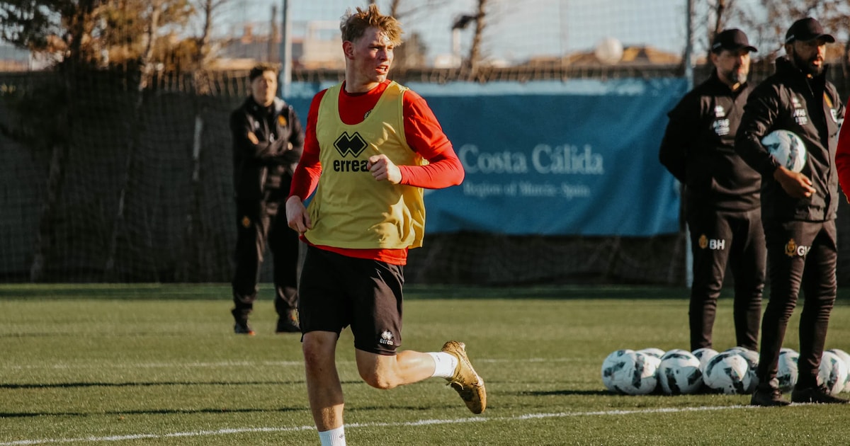 Één-tegen-één sterk én tegelijkertijd een harde werker: maak kennis met ...