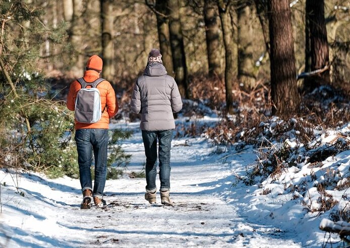 Neteland organiseert Winterwandelingen in vijf Netelandgemeenten ...